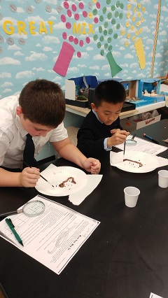 Our Lady of the Angels - Fourth Grade